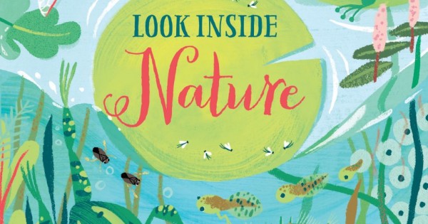 Look Inside Nature